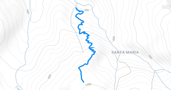 6_Flow_Job Mountain Biking Trail - castagneto carducci