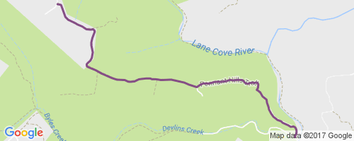 Pennant Hills Fire Trail Mountain Biking Trail - Hornsby