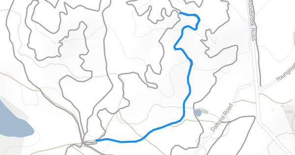 Cloverleaf Loop 1 - Twist Mountain Biking Trail - Castlemaine