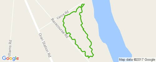 Loop Track Mountain Biking Trail - Orari, Timaru