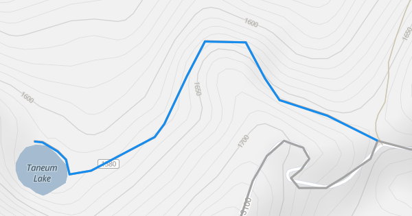 Taneum Lake Trail Mountain Biking Trail - Cle Elum