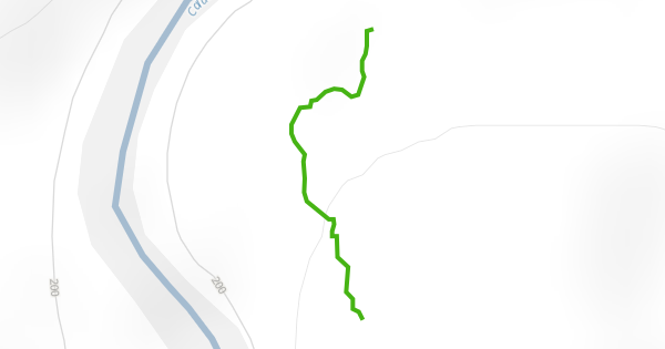 Calawah River Center Bypass Trail Hiking Trail - Forks, WA