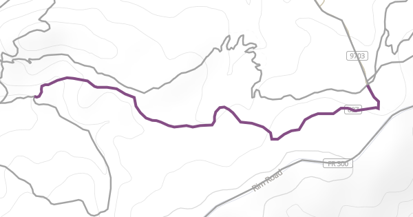 Buena Vista (Loop 2) Multi Trail - Show Low, Arizona