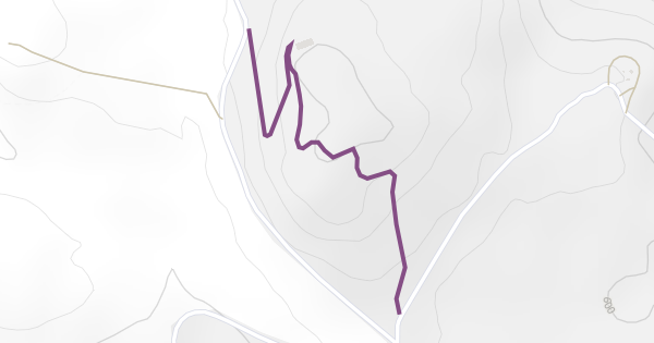 Grabovac fortress trail - acces road Mountain Biking Trail