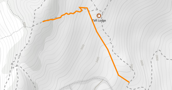 Profanity Chute Backcountry Skiing Trail - Stowe, Vermont