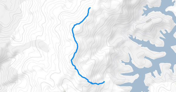 Jungle Trail Mountain Biking Trail - Lam Dong