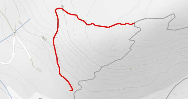 Quarry Line Mountain Biking Trail - Caersws | Trailforks