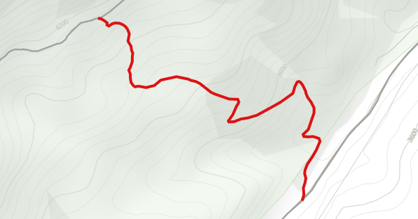 La Cirigoña Multi Trail - Tamaria, Guardo | Trailforks