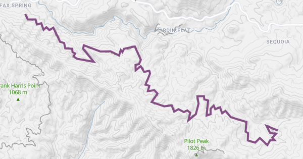 FR1S13 Multi Trail - Buck Meadows, California