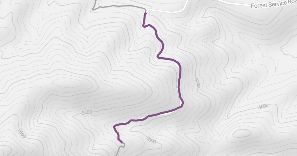 Copper Chief (FS 9605K) Mountain Biking Trail - Cottonwood