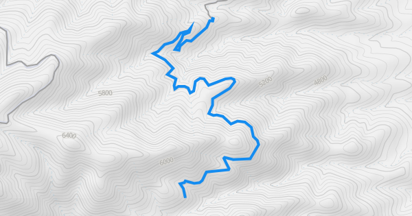 Copper Chief (Upper) Mountain Biking Trail - Cottonwood