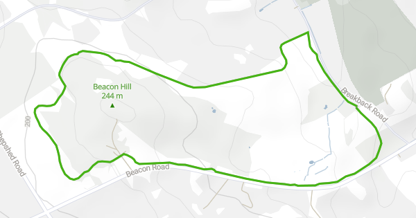 Beacon Hill Trail Mountain Biking Trail - | Trailforks