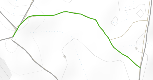 Geebung Circuit Mountain Biking Trail - Eumundi