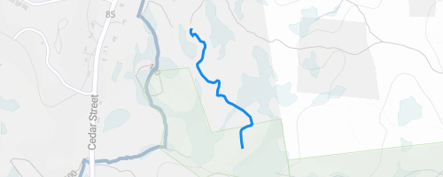 NEMBA Trail Multi Trail - Milford, Massachusetts