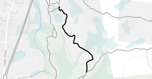 NEMBA Trail Multi Trail - Milford, Massachusetts