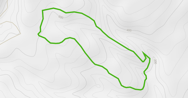 Tarrat Loop Multi Trail - Fairfield, California