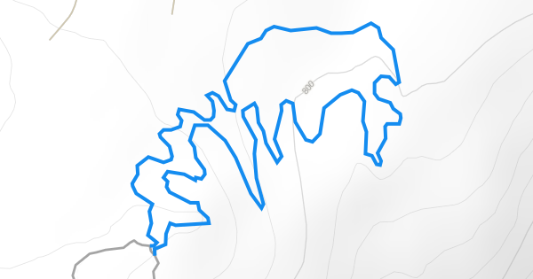 Bloodroot Trail (Green) Mountain Biking Trail - Emmaus