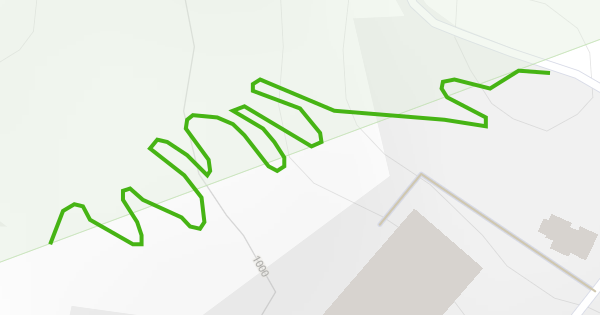 Forst Flow Mountain Biking Trail - Kiedrich | Trailforks