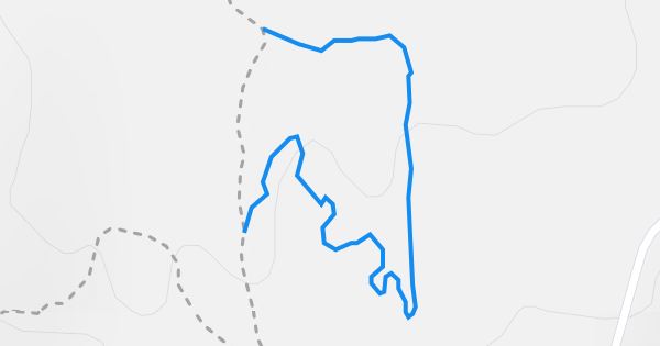 Copperhead Crossing Mountain Biking Trail - Morton