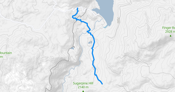 Cliff Camp Trail Multi Trail - Wilsonia, California