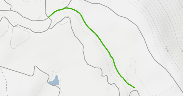 Long Path ByPass Multi Trail - Voorheesville, New York