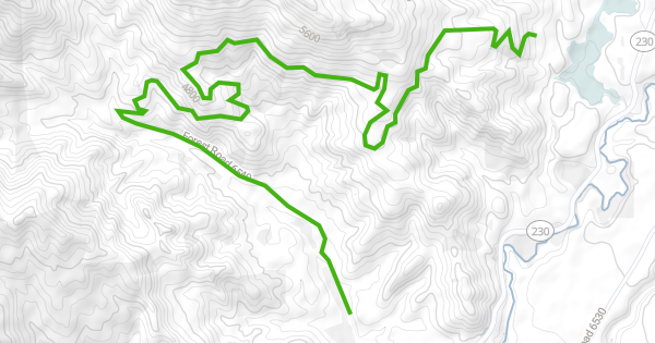 Forest Creek Trail ATVing/Offroading Trail - Prospect