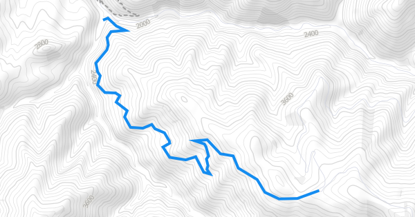 Noonday Wagon Trail Multi Trail - Cottage Grove, Oregon