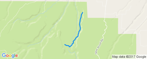 Spring Creek (Middle) Mountain Biking Trail - Montrose