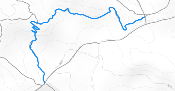 Grass Trees Lower Mountain Biking Trail - Anglesea