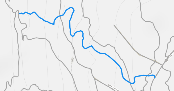 Hidden Valley Mountain Biking Trail - Bellingham, WA