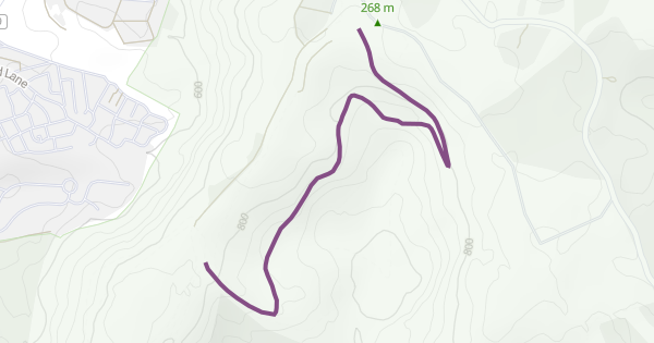 Firecrest Trail Multi Trail - Wendover | Trailforks