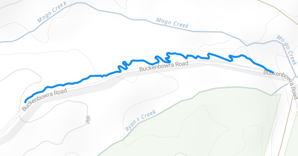 Burnaaga (Goanna) - Outbound Mountain Biking Trail - Mogo