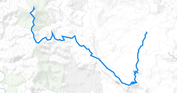Burnaaga (Goanna) Mountain Biking Trail - Mogo