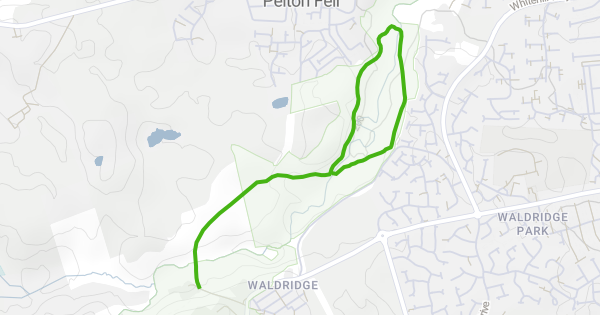 Cong Burn Woods Nature Reserve Loop Hiking Trail - Waldridge