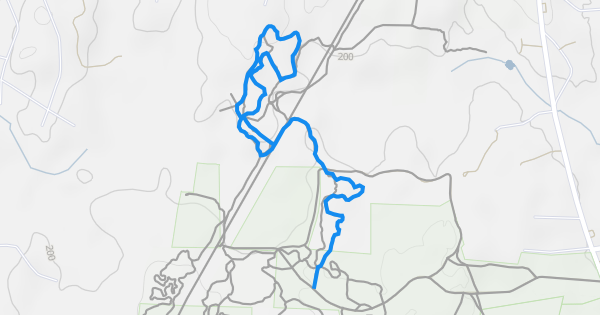 Red Trail and Loop (Red Markers) Multi Trail - Walpole
