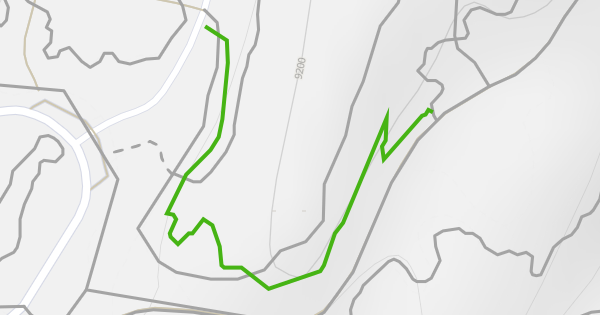 PRA to Excelsior Connector Trail Mountain Biking Trail - Frisco