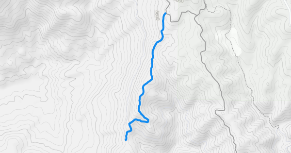 Ned Ridge Multi Trail - Buck Meadows, California