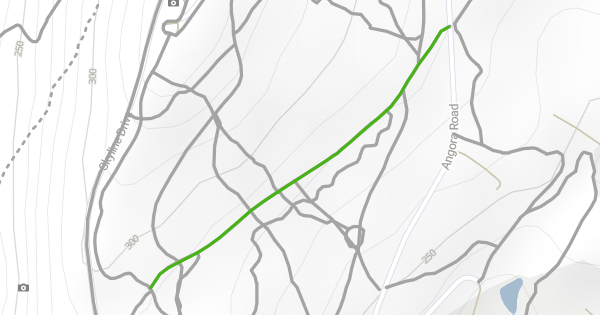 Ferndale Trail - A-line section Multi Trail - Reading