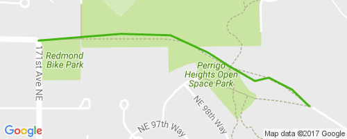 Ashford Trail Mountain Biking Trail - Redmond, Washington