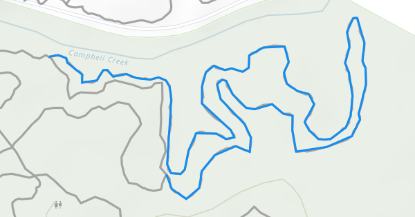 Swamp Fox Mountain Biking Trail - Sumter, South Carolina