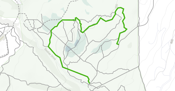 Moose Ridge Loop Mountain Biking Trail - Anchorage