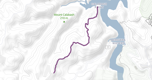 Calabash Point Mountain Biking Trail - Hornsby