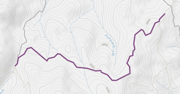 Sherman Pass 4x4 Trail Multi Trail - - California