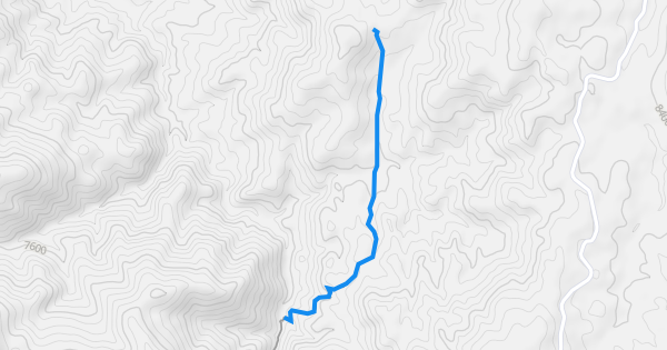 Beach Trail (Beartrap North Rd to Rattlesnake Tr) Multi Trail - Lone Pine