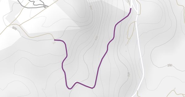 Main Access Road Multi Trail - | Trailforks