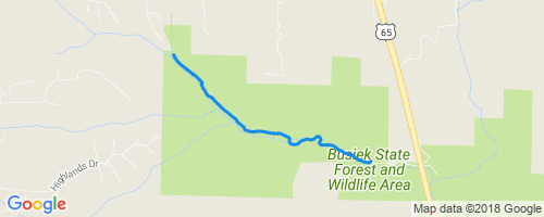 Busiek State Forest Mountain Biking Trail - Highlandville