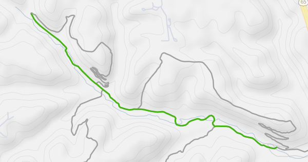 Busiek State Forest Mountain Biking Trail - Highlandville
