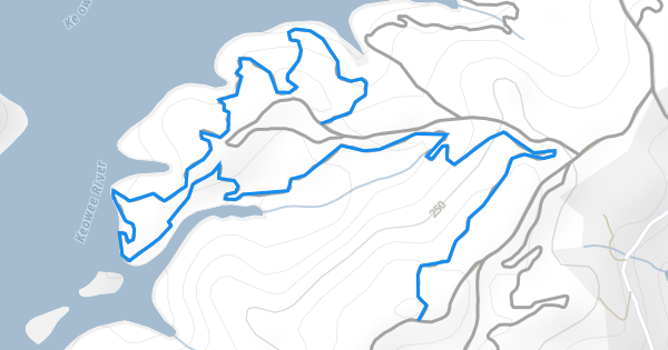 Double Fork Tree Multi Trail - Clemson, South Carolina