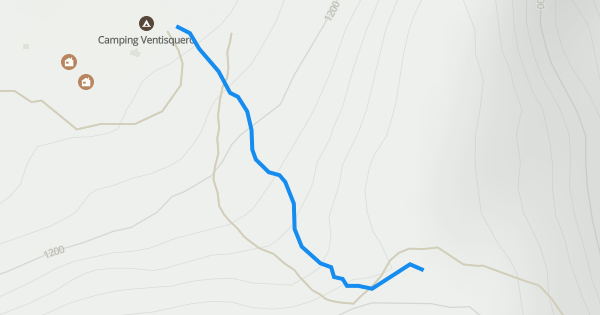 Sendero Mirador Hiking Trail - Puelo | Trailforks
