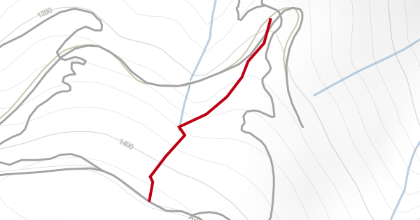 Octagon (upper) Multi Trail - Olympia, Washington
